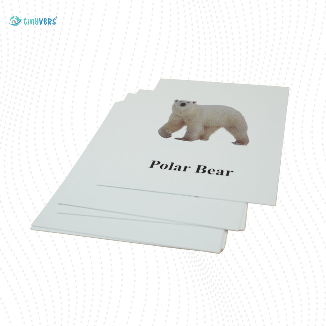 Arctic Animals Cards – Tinyvers