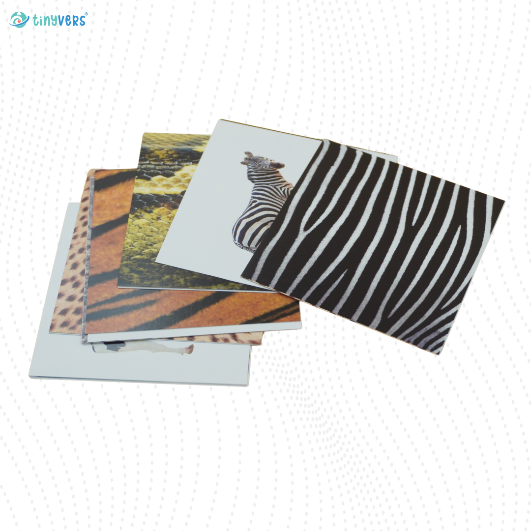Animal Skin Match Cards – Tinyvers