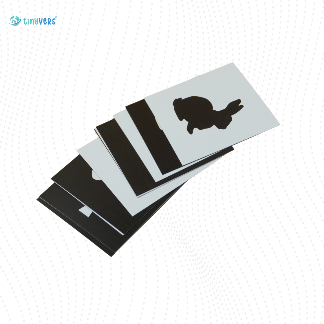 Visual Perception Cards – Tinyvers