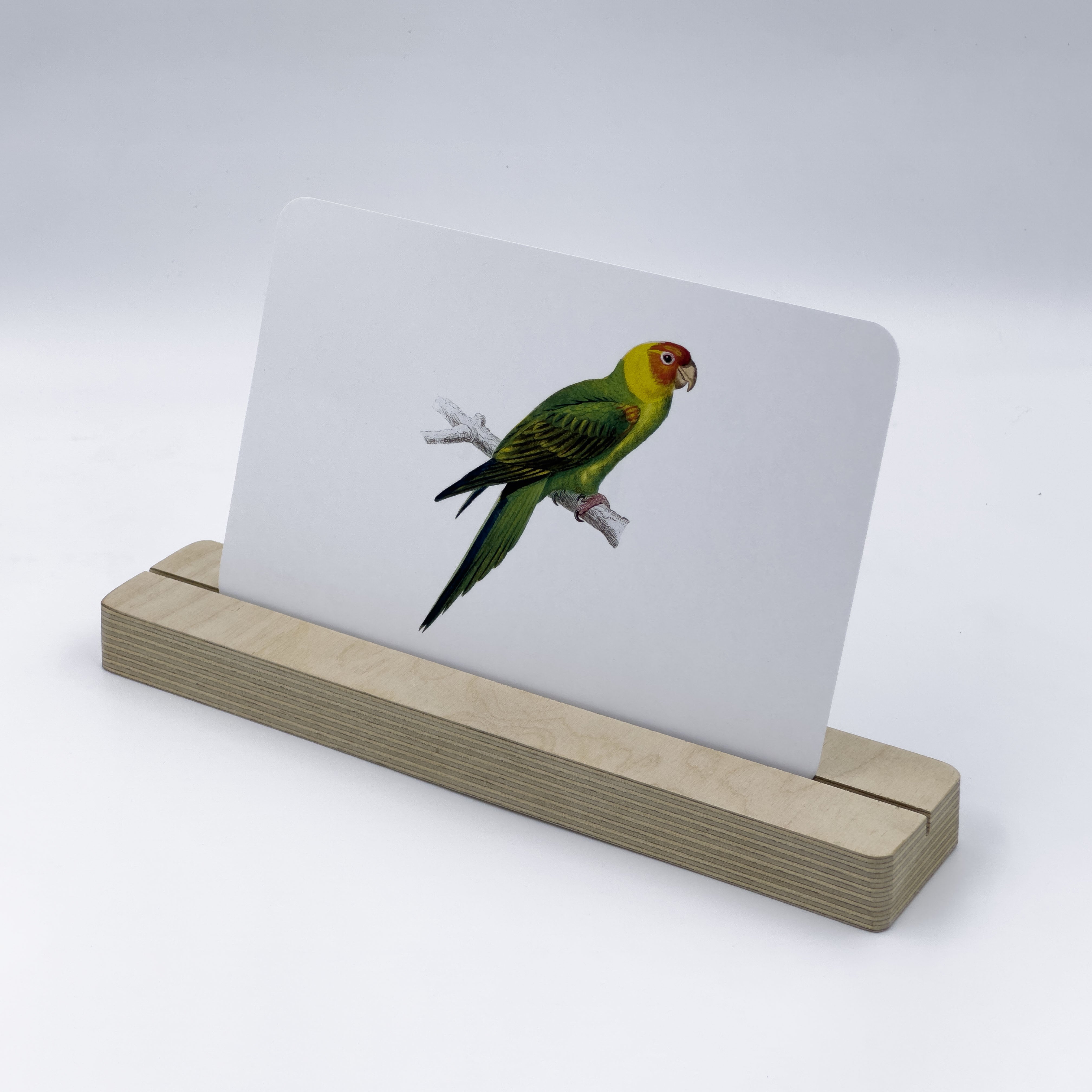 Buy Baby Flashcard Holder - A Must-Have Educational Accessory – Tinyvers